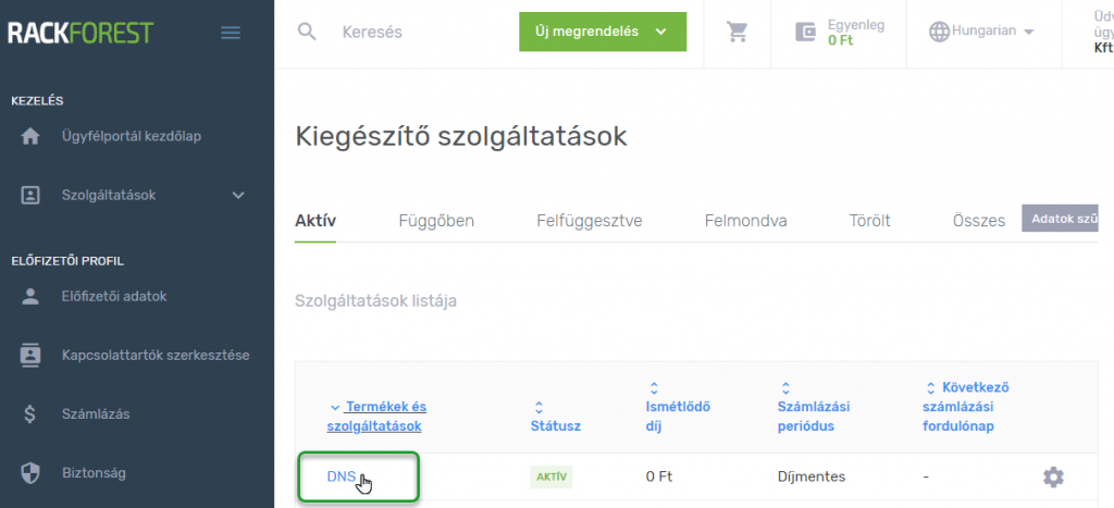 Hogyan tudom a domainem DNS zónáját kezelni az ügyfélportálon? - RackForest